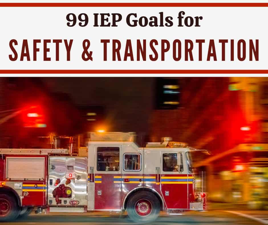 99 Community Safety and Transportation IEP Goals