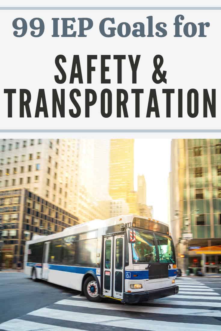 99 Community Safety And Transportation IEP Goals