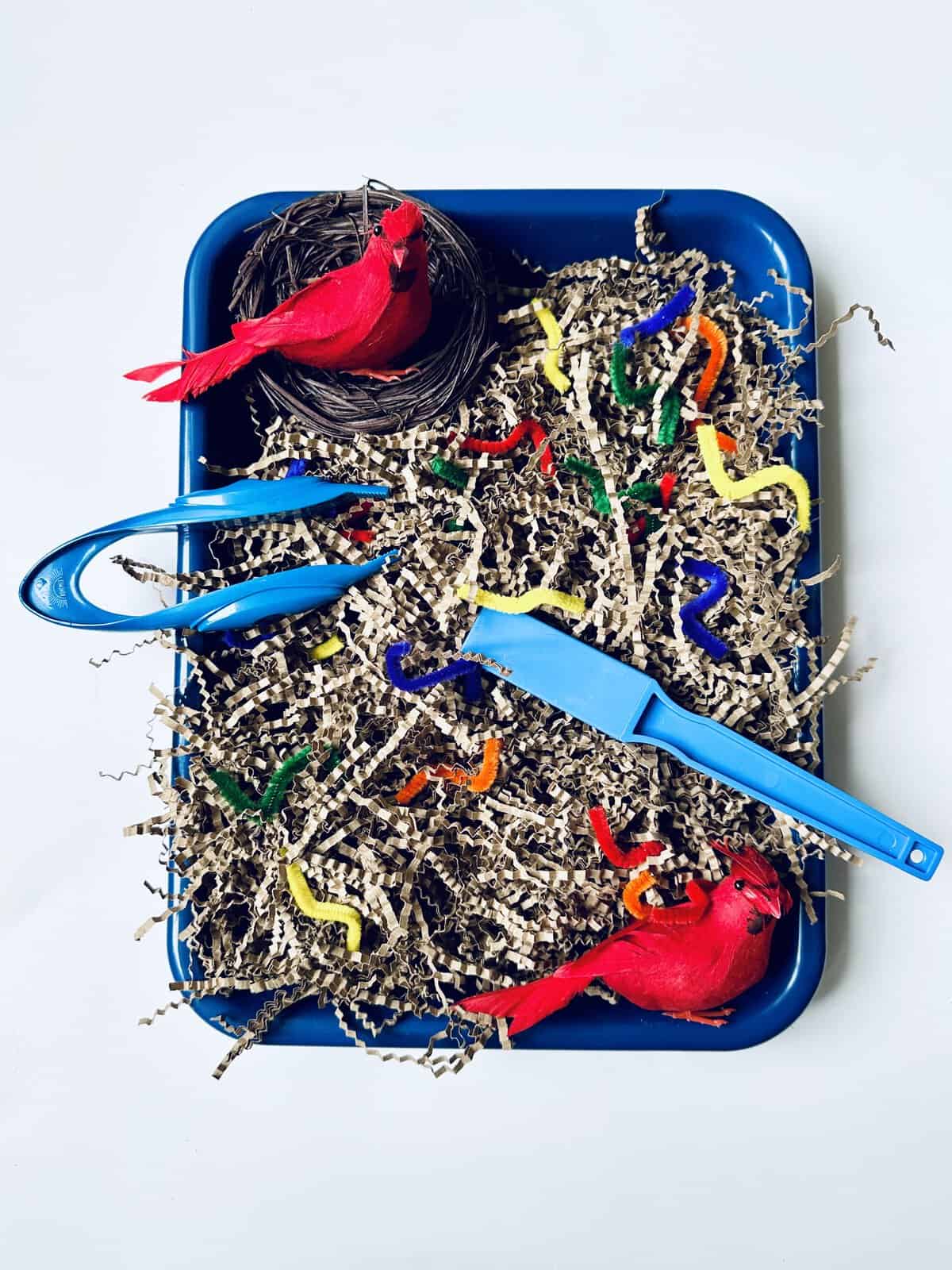 Brilliant Bird Sensory Bin Ideas + Easy Supplies List!