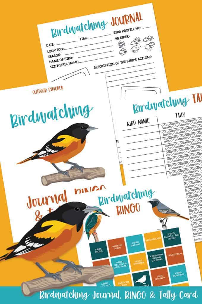 Fun Bird Watching Bingo for Kids: Free PDF Download