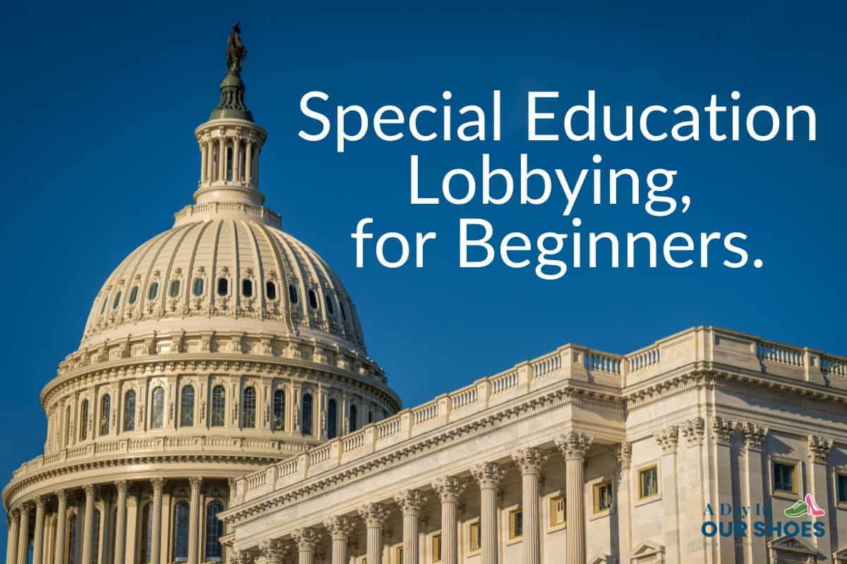 How To Get Involved In Special Education Lobbying (Even If You’re New ...
