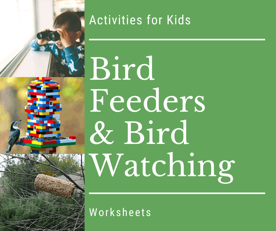 20 Free And Exciting Bird Watching Activities Your Kids Will Love!