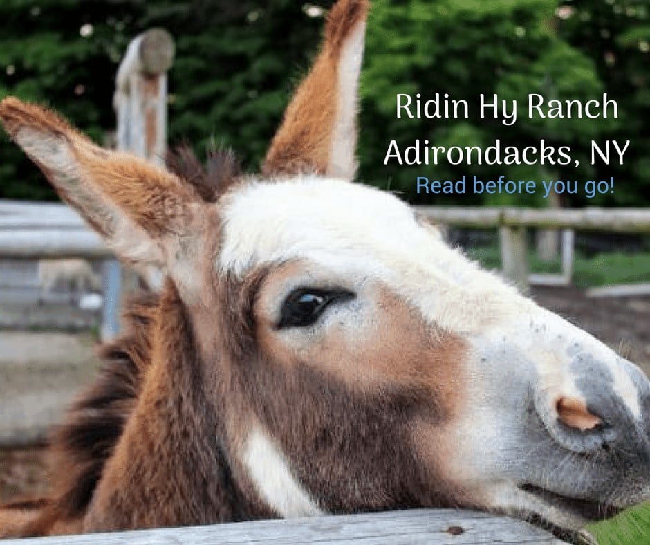 Ridin Hy Ranch | 5 Things To Know Before You Go!